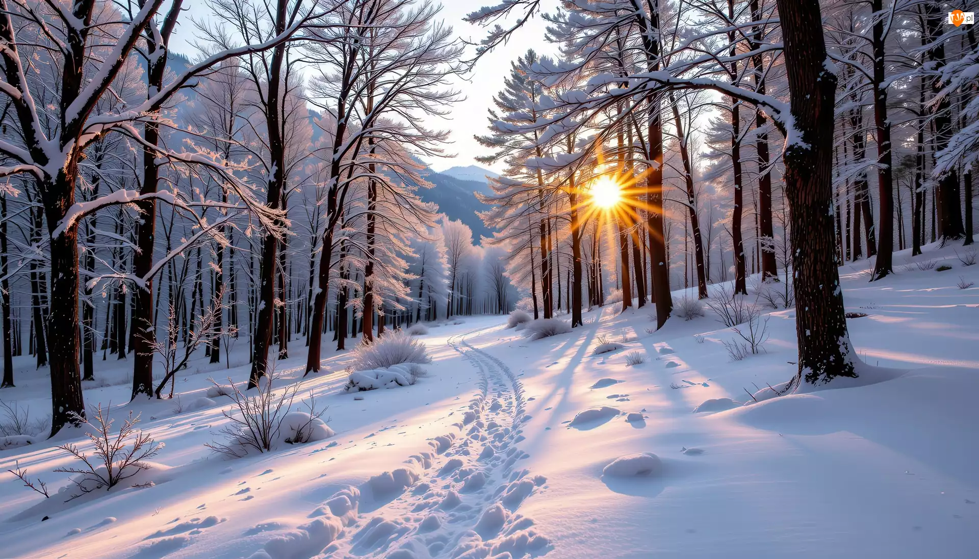 Drzewa, Zima, Las, Grafika AI, Ścieżka, Promieni